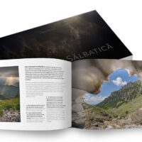 România Sălbatică • Societatea Ornitologică Romană