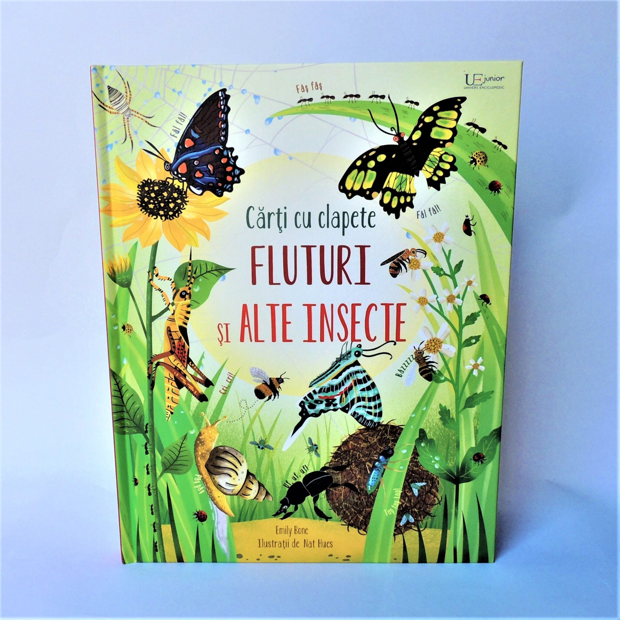 Fluturi și alte insecte • Societatea Ornitologică Romană