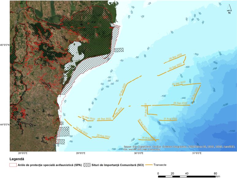Migrația de toamnă, la 200 de kilometri în largul Mării Negre ...