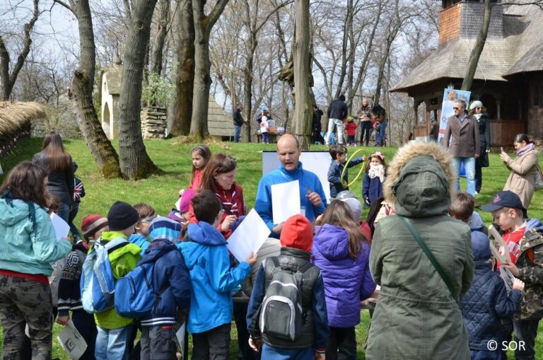 Ziua Păsărilor • Societatea Ornitologică Romană
