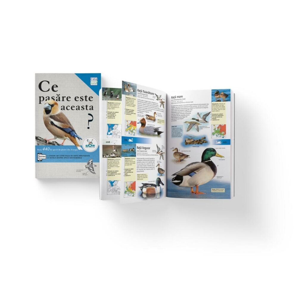 Ce pasăre este aceasta? • Societatea Ornitologică Romană