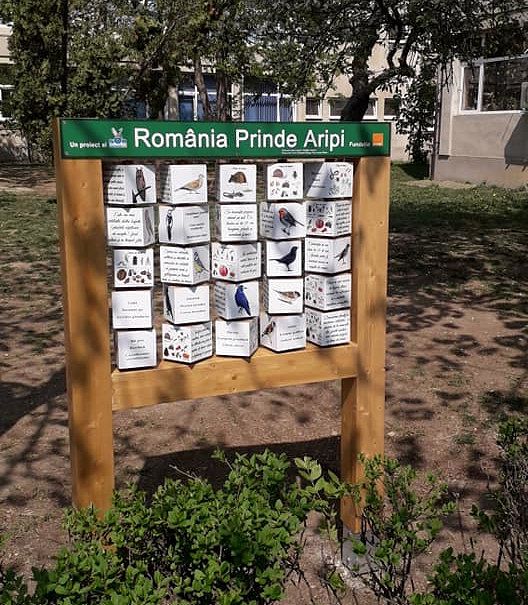 Avem panouri noi în proiectul România Prinde Aripi • Societatea ...