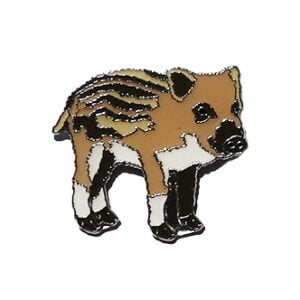 Insignă pui de mistreț • Societatea Ornitologică Romană