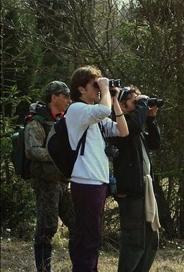 Monitorizarea Păsărilor Comune • Societatea Ornitologică Romană