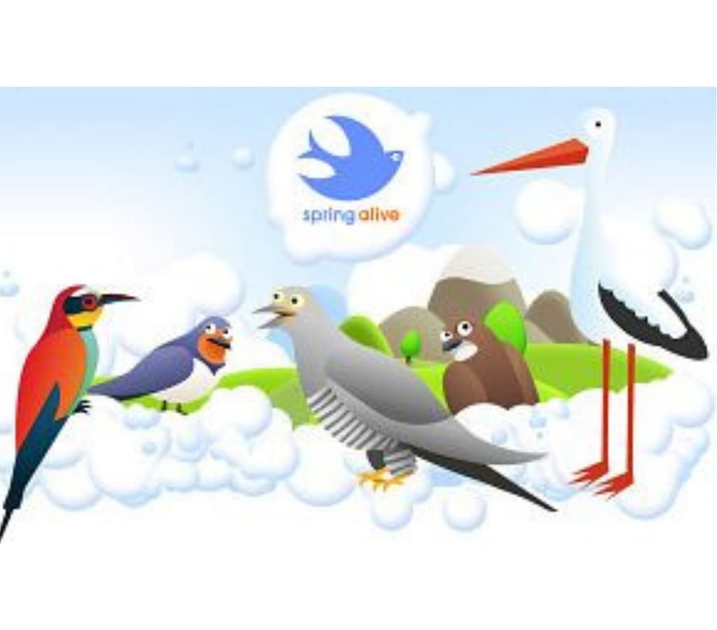 Concursul de desene Spring Alive 2019 • Societatea Ornitologică Romană