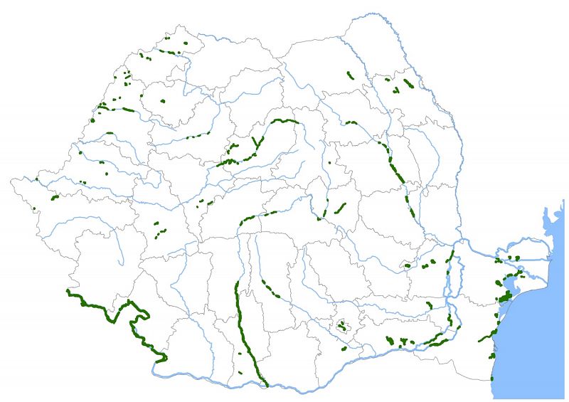Recensământul Internațional al Păsărilor de Apă, Ianuarie 2019 ...