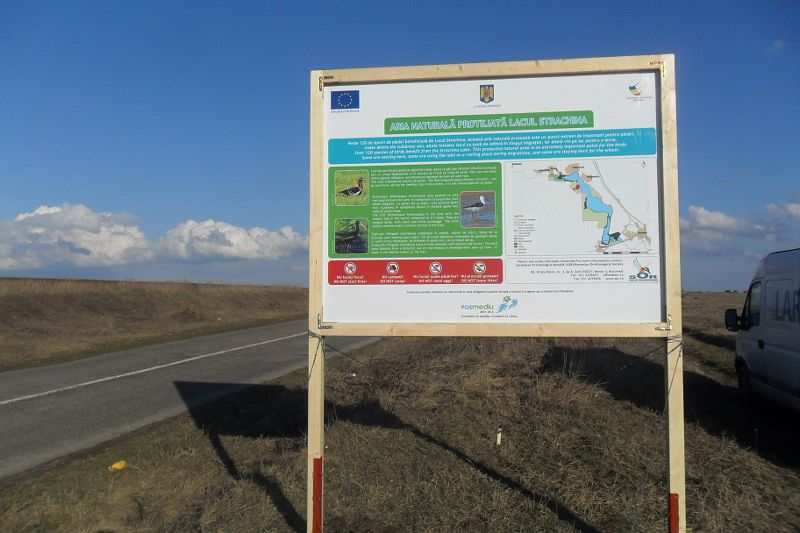 Panouri informative la Lacul Strachina • Societatea Ornitologică Romană