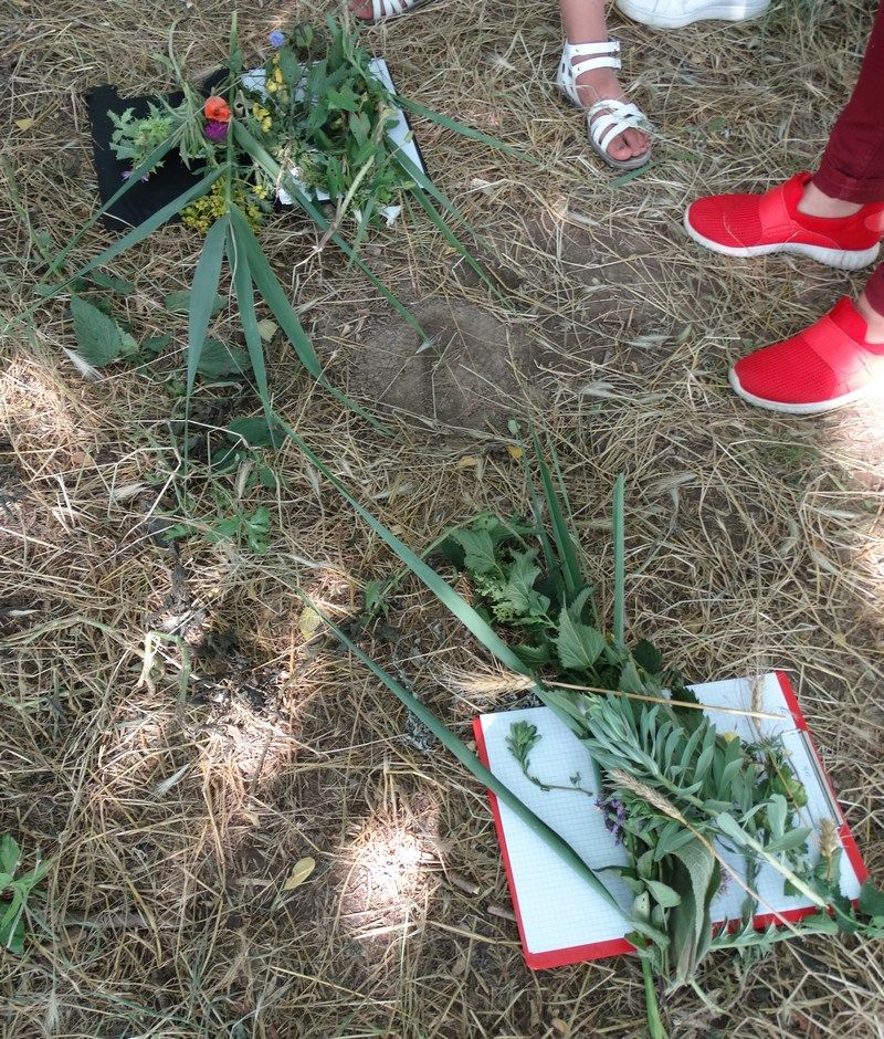 Tabăra de la Stepa Saraiu Horea • Societatea Ornitologică Romană