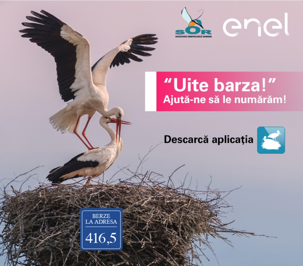 „Uite barza!” - 3 premii la Romanian PR Awards • Societatea ...