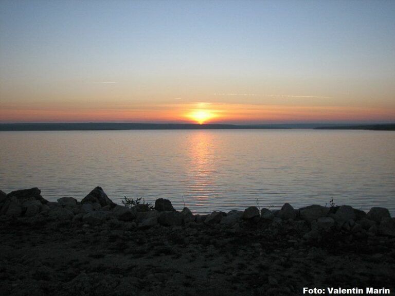 Lacul Techirghiol • Societatea Ornitologică Romană