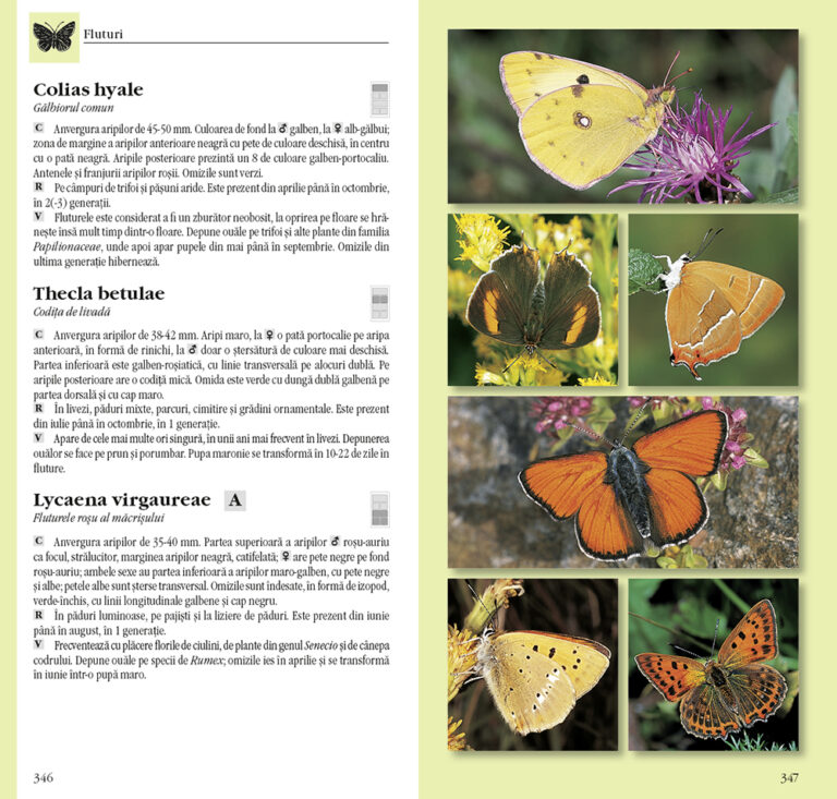 Determinator de plante și animale