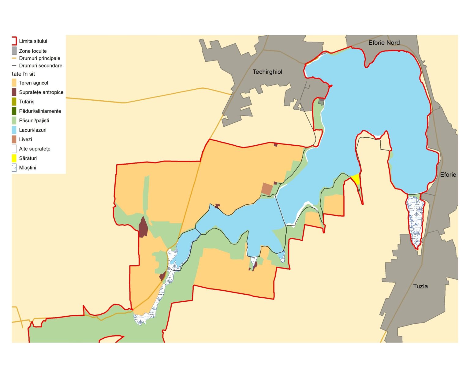 Lacul Techirghiol • Societatea Ornitologică Romană
