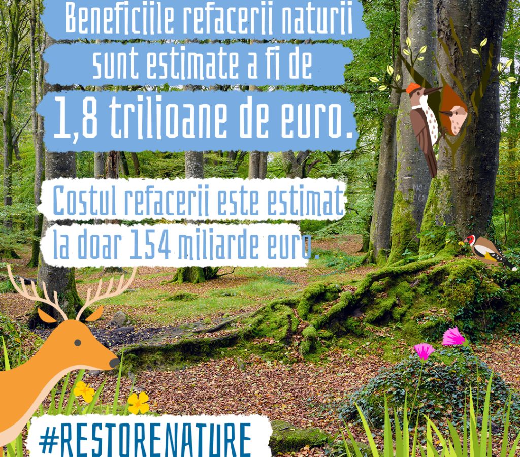 Restore Nature • Societatea Ornitologică Romană