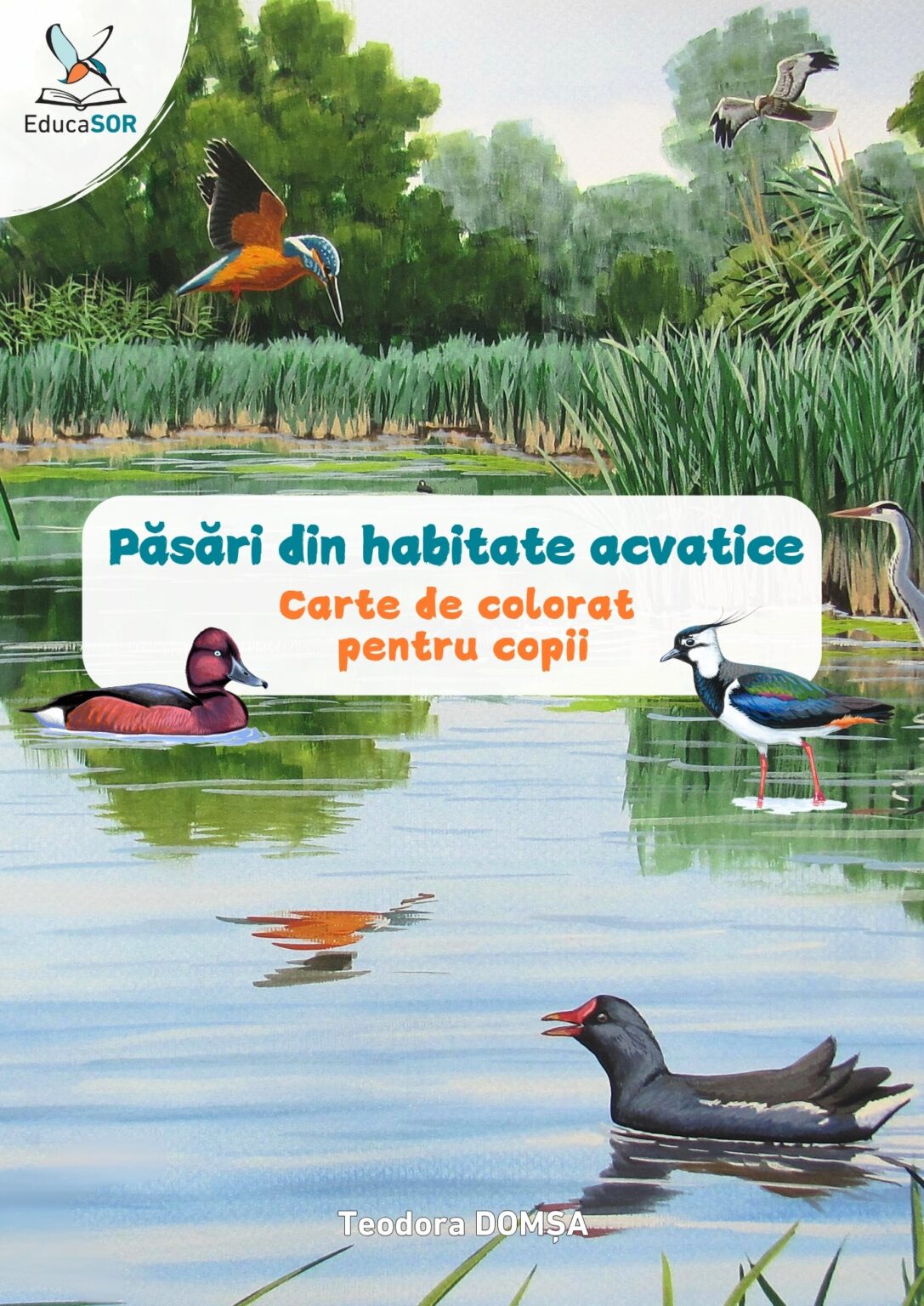 Păsări din habitate acvatice • Societatea Ornitologică Romană